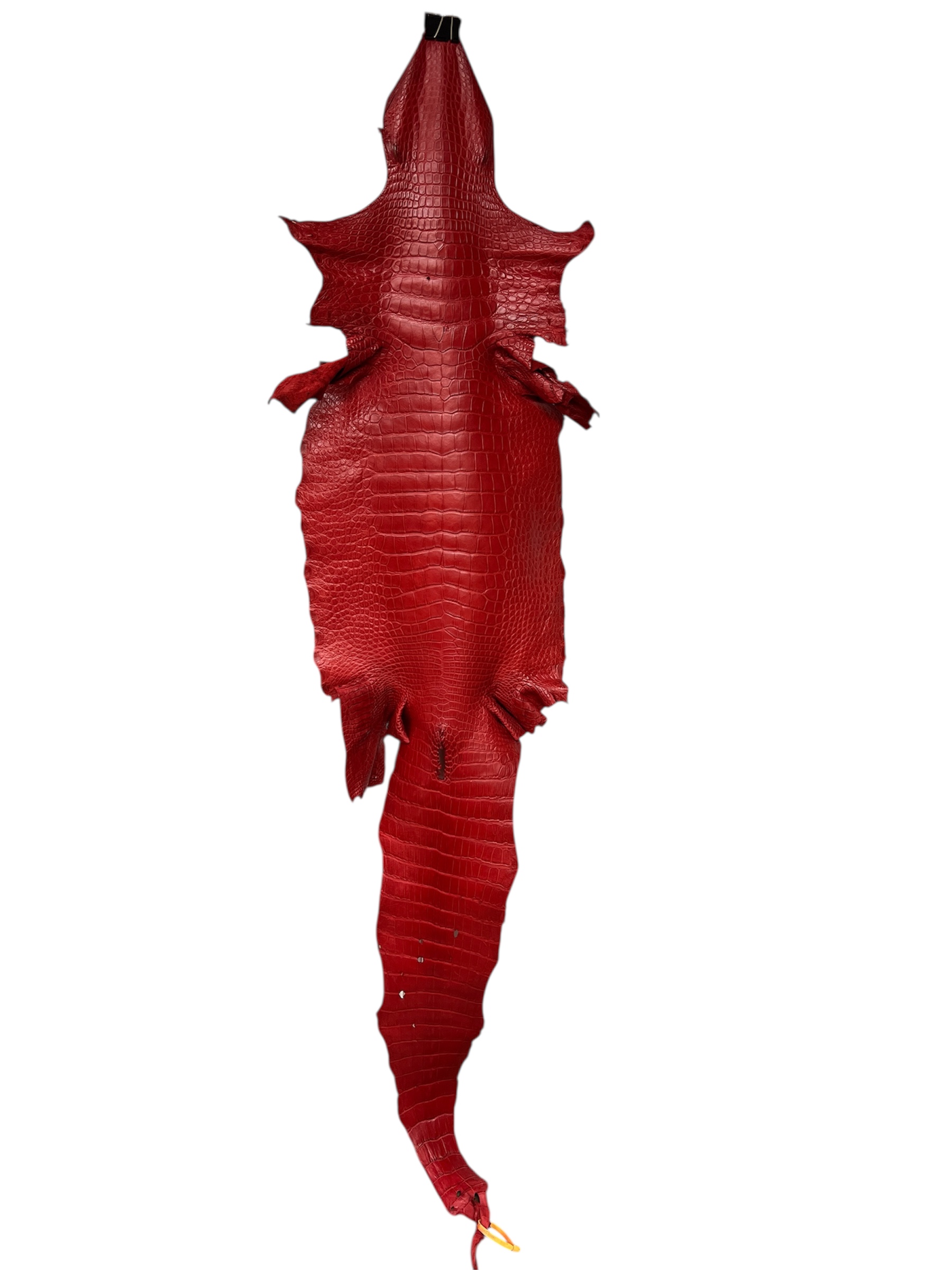 Red Matte Alligator · 22004881 · 48 cm - Mark Staton, LLC