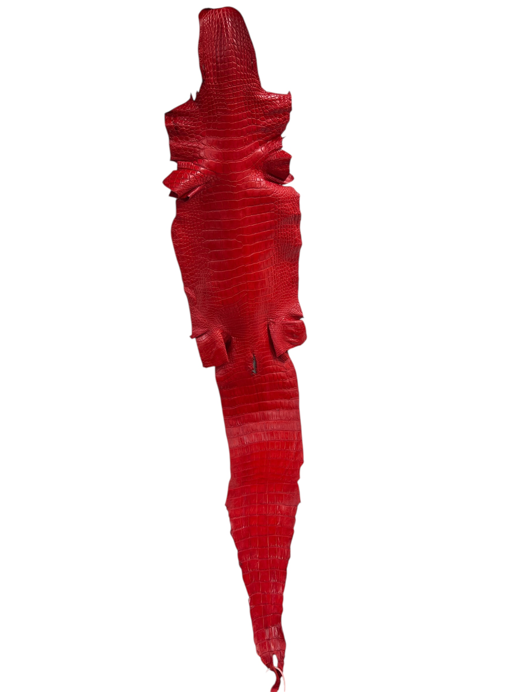 Red Matte Alligator · 23001421 · 37 cm - Mark Staton, LLC